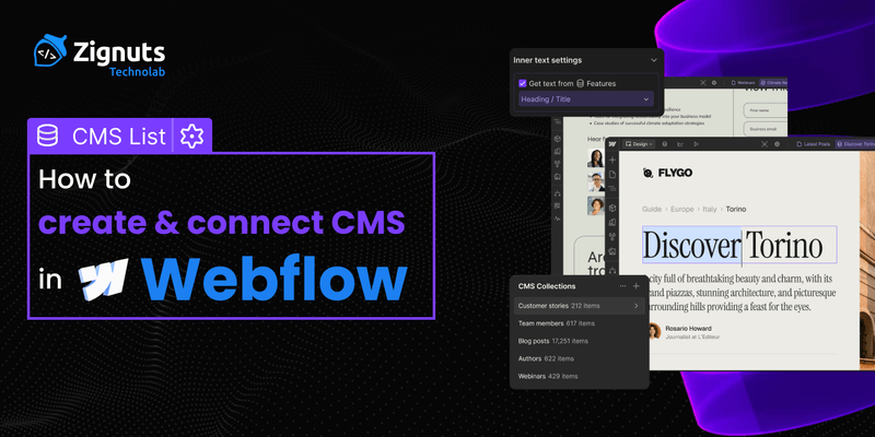 What is a Webflow CMS Collection & How to Use It Effectively